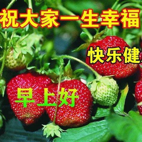 10月3日最新早上好动态表情图片大全，早晨好动图美图大全！生活祝福真正的朋友