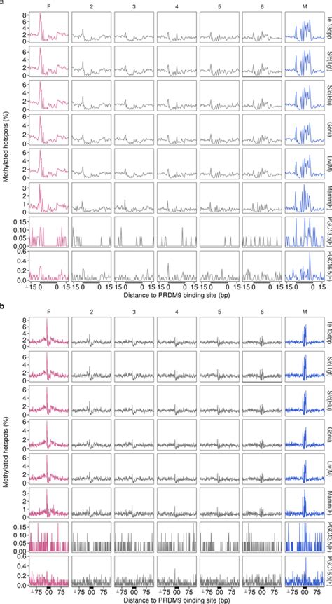 Extensive Sex Differences At The Initiation Of Genetic Recombination Pmc