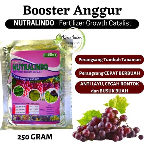 Jual Pupuk Organik Booster Anggur Perangsang Buah Anggur Pupuk Buah Anggur Cepat Berbuah Di