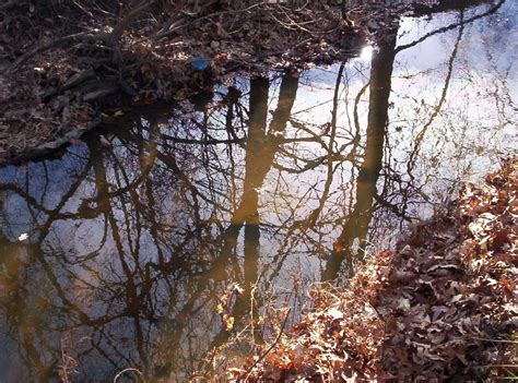 Chillicothe Mo Simpson Park Photo Picture Image Missouri At City