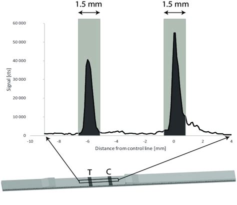 Schematic Illustration Of The Peak Integration Of The Test And Control Download Scientific