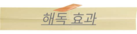 Abc 주스 9가지 효능 부작용 권장량 해독 체중 감량 혈액 순환 피부 딥씨블로그