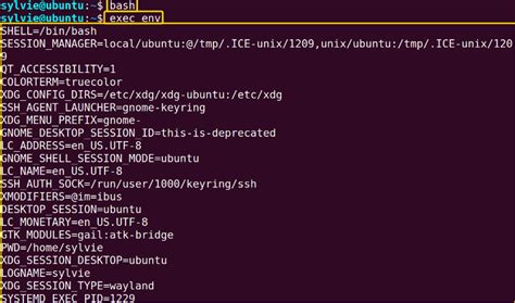 The “exec” Command In Linux 8 Practical Examples