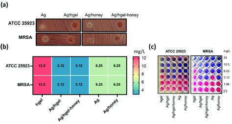 Antimicrobial Susceptibility Testing Ast Of Agnps In The Hydrogel Download Scientific Diagram
