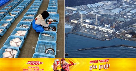 សហភាពអឺរ៉ុប ន័រវេស អ៊ីស្លង់ បានលុបចោលការរឹតបន្តឹងផលិតផលម្ហូបអាហារពីជប៉ុន