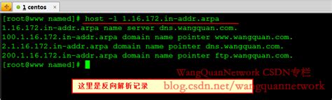 Linux下安装和配置dns服务器linux安装dns的命令过程 Csdn博客