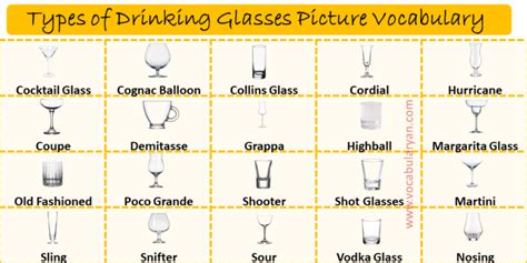 Drinking Glasses Types And Their Uses Vocabularyan