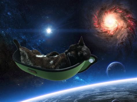 My Intergalactic Pussy Album On Imgur