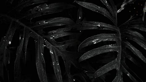 Shyam Pratap Singh Nathawat Posted On Linkedin