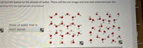 Solved Sort The Following Into The Correct Bin Based On The