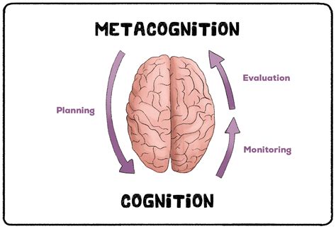 Metacognition Practical Psychology