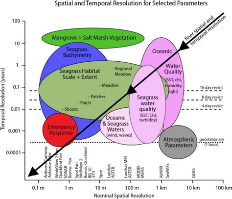 Sen2coral Detection Of Coral Bleaching From Space