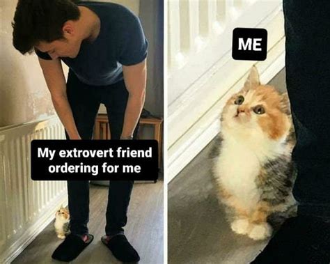 So Basically I M Very Smol 9GAG