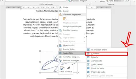 Insertar Firma En Word