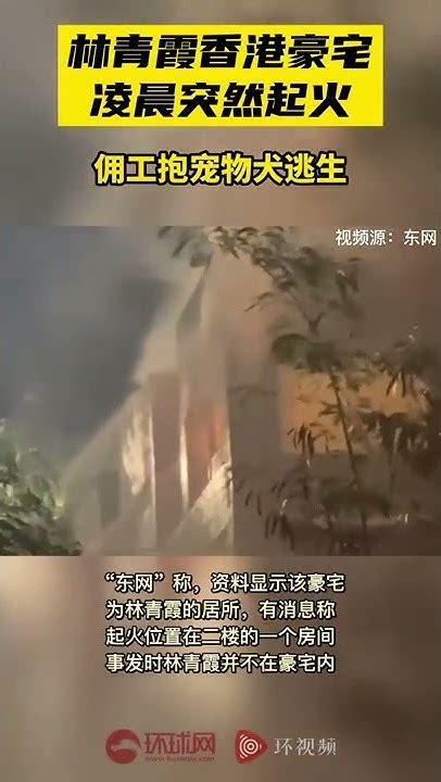 突发！林青霞香港豪宅凌晨突然起火，佣工抱宠物犬逃生 热搜研究员 Youtube