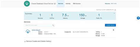 Netsoftmate Technical Blog Step 6 Oracle Dbcs Enable Access To A