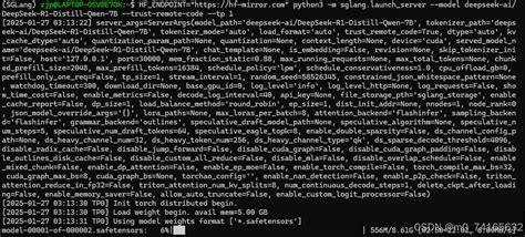 Sglang Deepseek R Sglang Deepseek Csdn