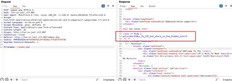 Write Up Ctf Web Challenges