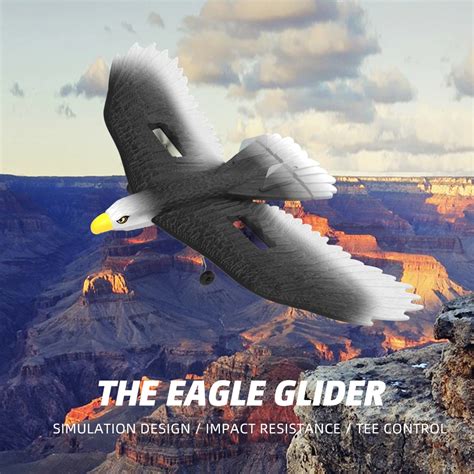 Eagle RC Airplane Big Size Fixed Wing Remote Control Plane Model Night