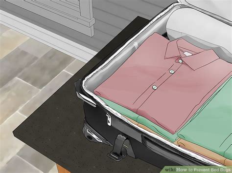 Ways To Prevent Bed Bugs WikiHow Life