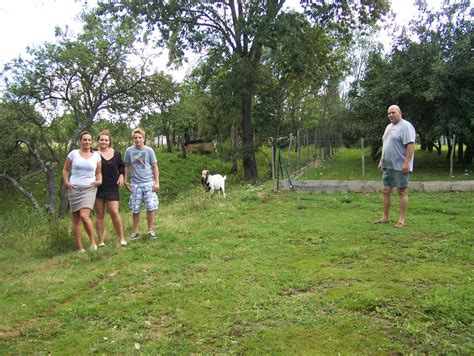 Rhône Dardilly Deux Chèvres Naines Abattues Dans Un Jardin