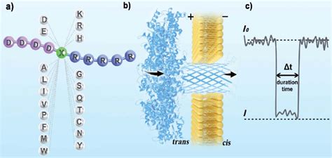 Schematic Diagram For Identifying Proteinogenic Amino Acids Using An