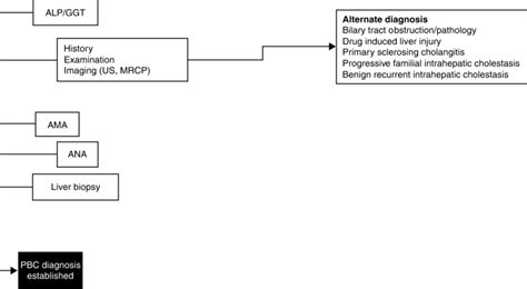 Algorithm For The Diagnosis Of Pbc Us Ultrasound Mrcp Magnetic