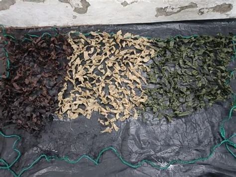 Nylon 12mm Green Army Camouflage Nets At Rs 12sq Ft In Meerut Id