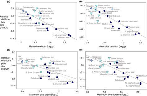 Significant Correlation Between Relative Cribriform Plate Size And
