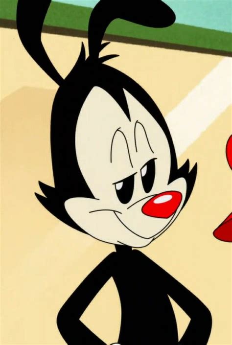 Pin By гречка On Animaniacs 2020 Animaniacs Characters Animaniacs Yakko