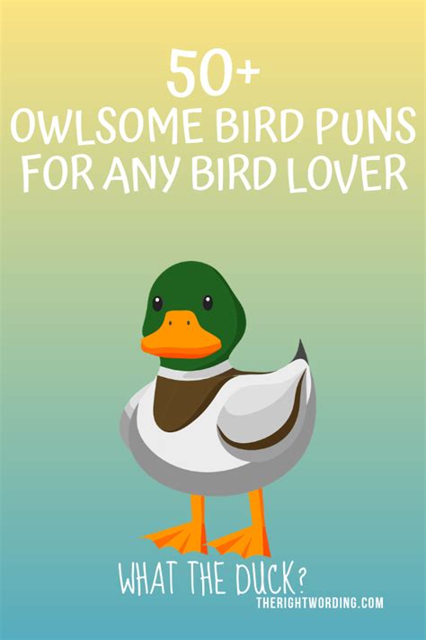 50 Owlsome Bird Puns To Emu Se Your Friends Bird Puns Puns Love