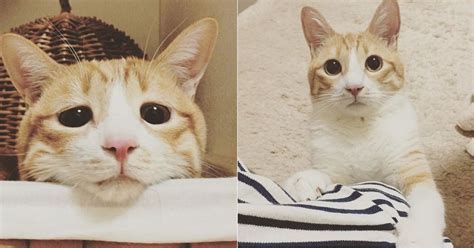 Peekme
