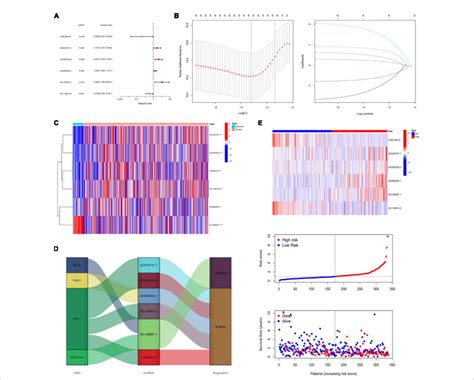 A Univariate Cox Regression Analysis B The Lasso Algorithm Further Download Scientific