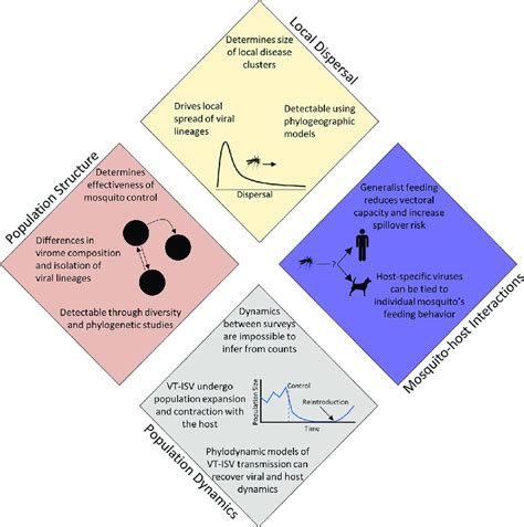 The Mosquito Virome Is Impacted By Several Aspects Of The Hosts Download Scientific Diagram