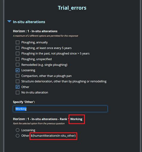 Displaying Other Answer In The Next Question In Choices Form