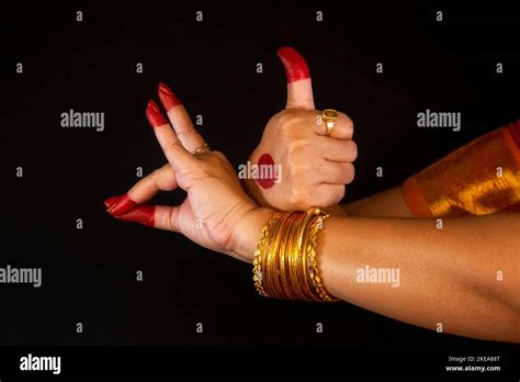 Hand Gestures In Bharatnatyam Indian Classical Dance