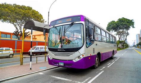 Conoce Aquí El Nuevo Desvío Del Corredor Morado Por Trabajos En La