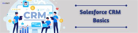 Salesforce Crm Basics