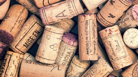 5 Main Types Of Cork To Close Wine Bottles WINERY LOVERS