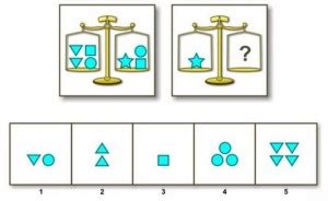 Free Sample WISC Practice Questions TestingMom Com