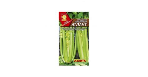 Сельдерей черешковый Атлант купить с доставкой в интернет магазине ...