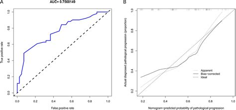 Decision Curve Analysis For The Validation Set A Horizontal Line