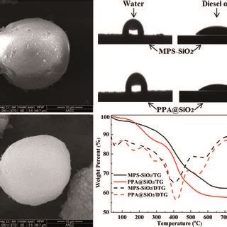 SEM images of (a) MPS–SiO2 and (b) PPA@SiO2; (c) contact angles and (d)... | Download Scientific ...