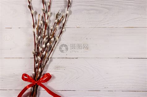 白色木背景上的pussy柳树枝纹顶视图高清图片下载 正版图片506276253 摄图网