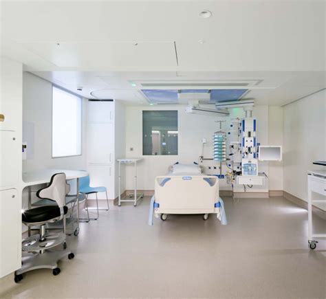 The Transplant Process