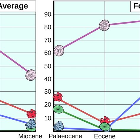 diagrams showing the distribution of the main recognised facies lbf