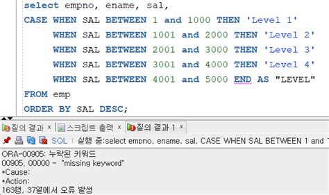 [oracle error] ora 00905 누락된 키워드 missing keyword