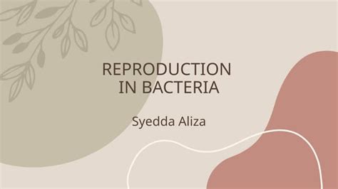 Sexual Reproduction In Bacteria An Overview Pptx