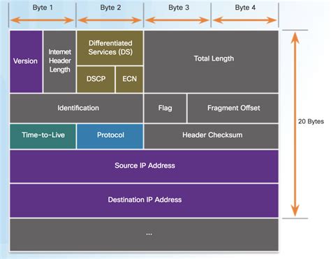Diagram Of Ipv4 Header Fields Quizlet
