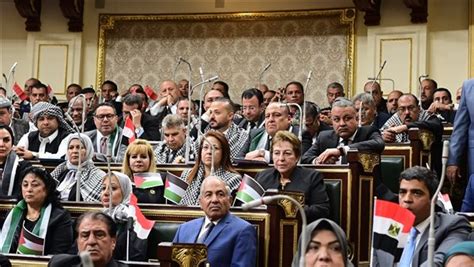 مجلس النواب يتشح بعلمي مصر وفلسطين في الجلسة الطارئة صور